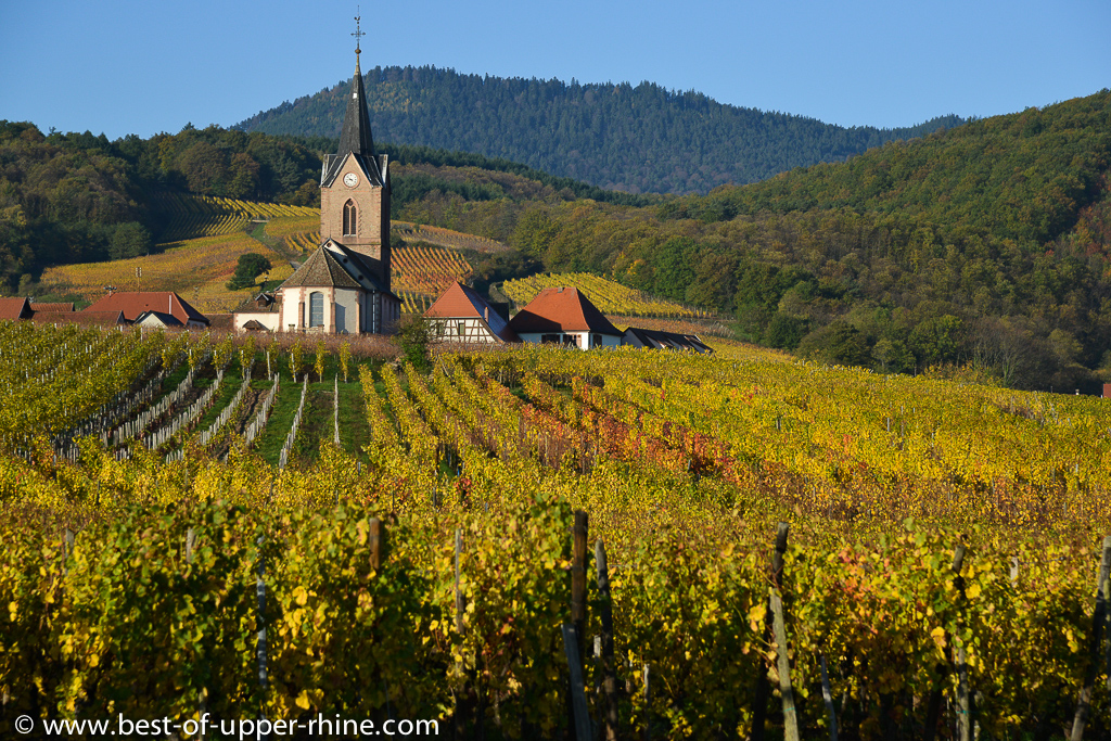 Golden landscapes along the Alsace Wine Route – a small picture gallery ...