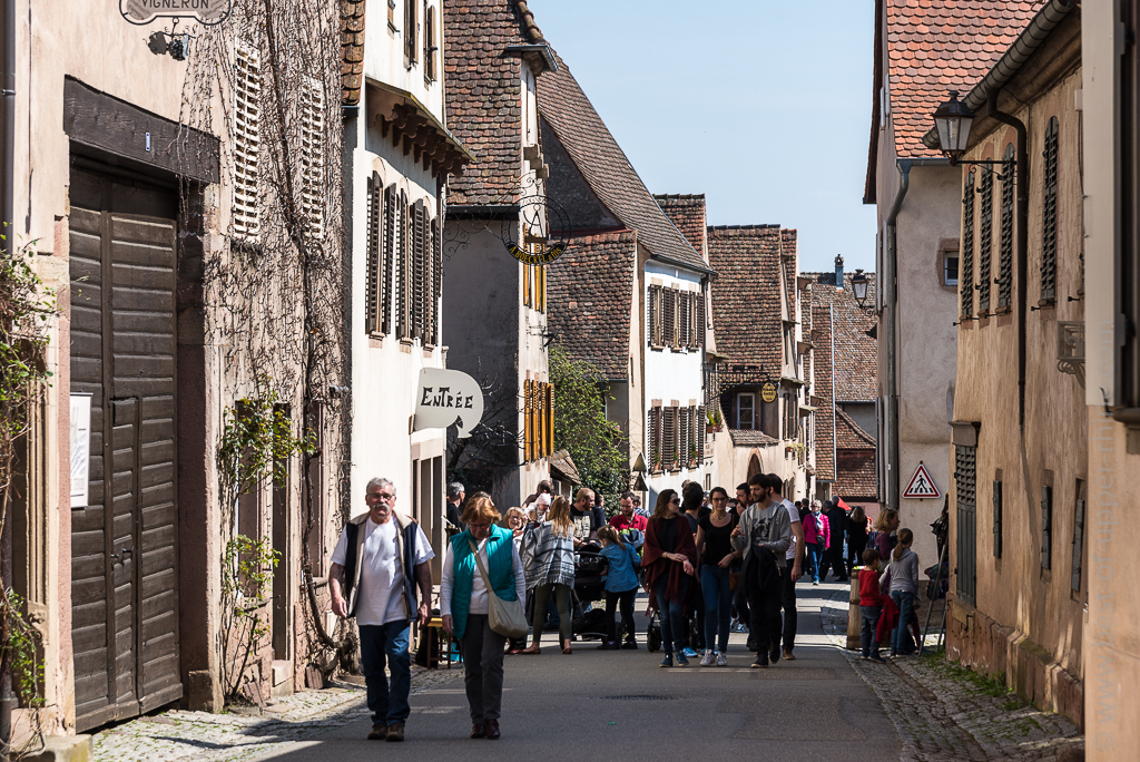 Alsace Wine Route : open wine cellars in Mittelbergheim | Best of Upper ...