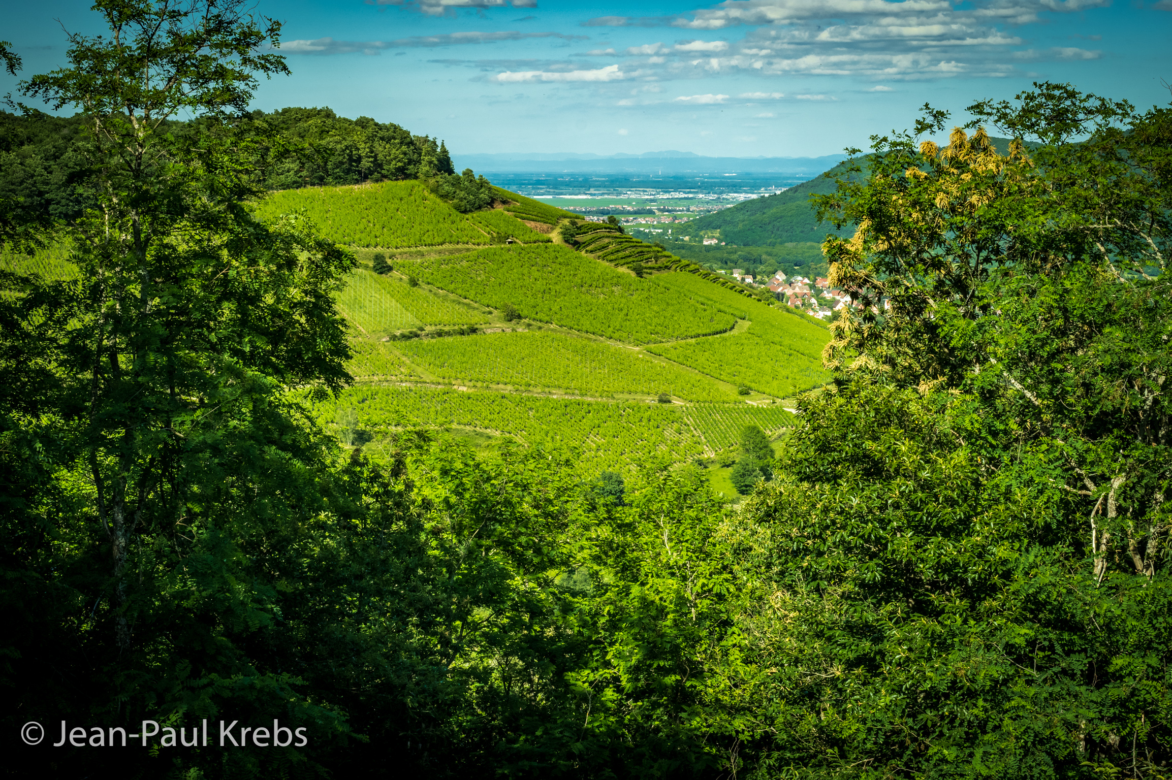 Best-Of-Alsace-Montagne-3960 | Best of Upper Rhine